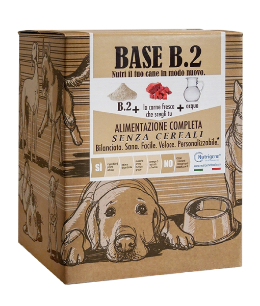 BASE B2 | Cibo Appropriato